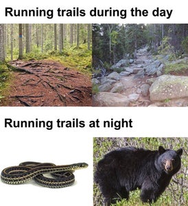 Trail Runner's Meme Of The Week, October 24 - Trail Runner Magazine